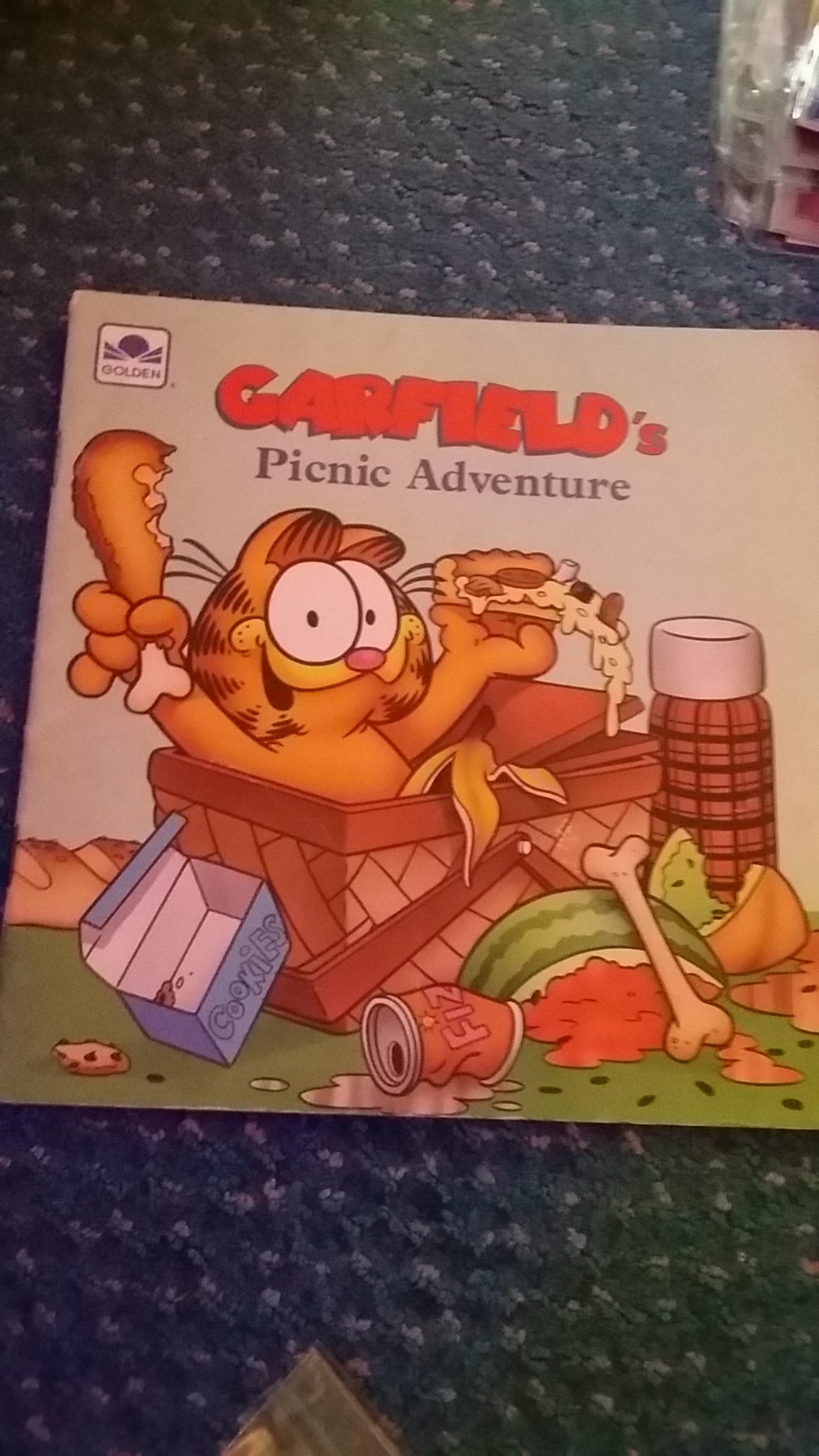 Garfield Books (Set of 2)